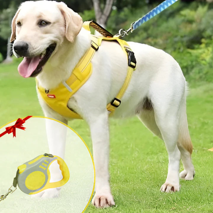 Anti-Pull Dog Harness with Comfortable Fit and Enhanced Control – Mysa ...
